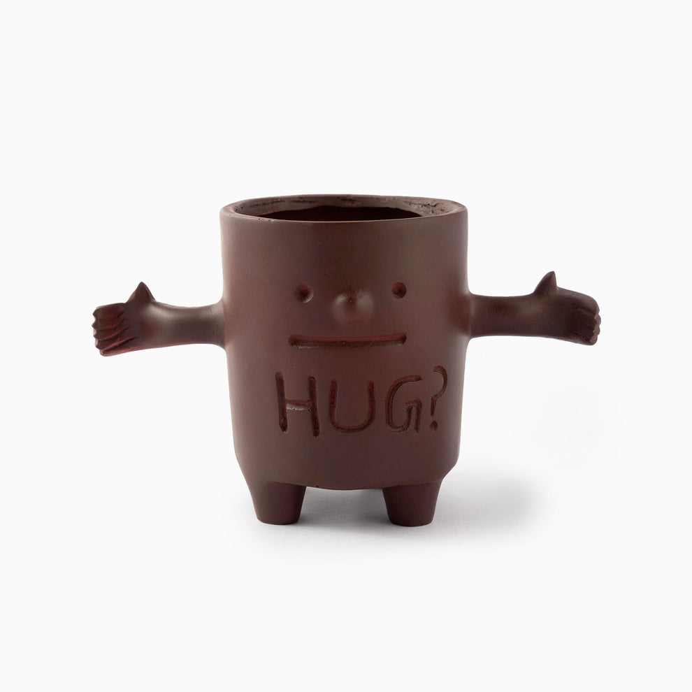 Hug Me Planter – iROCHi